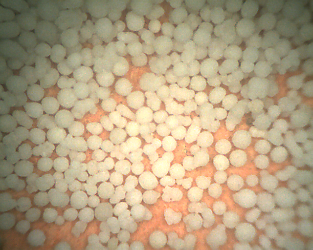 Cerabeads